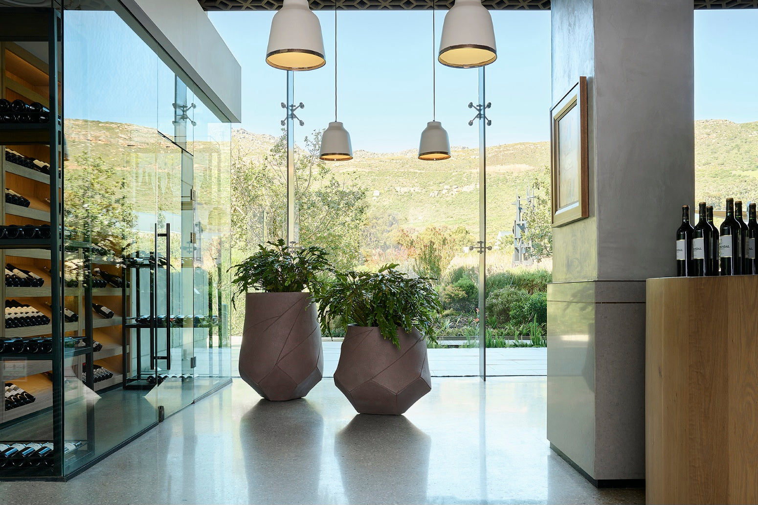 Bacha Planter - Botanical Boys