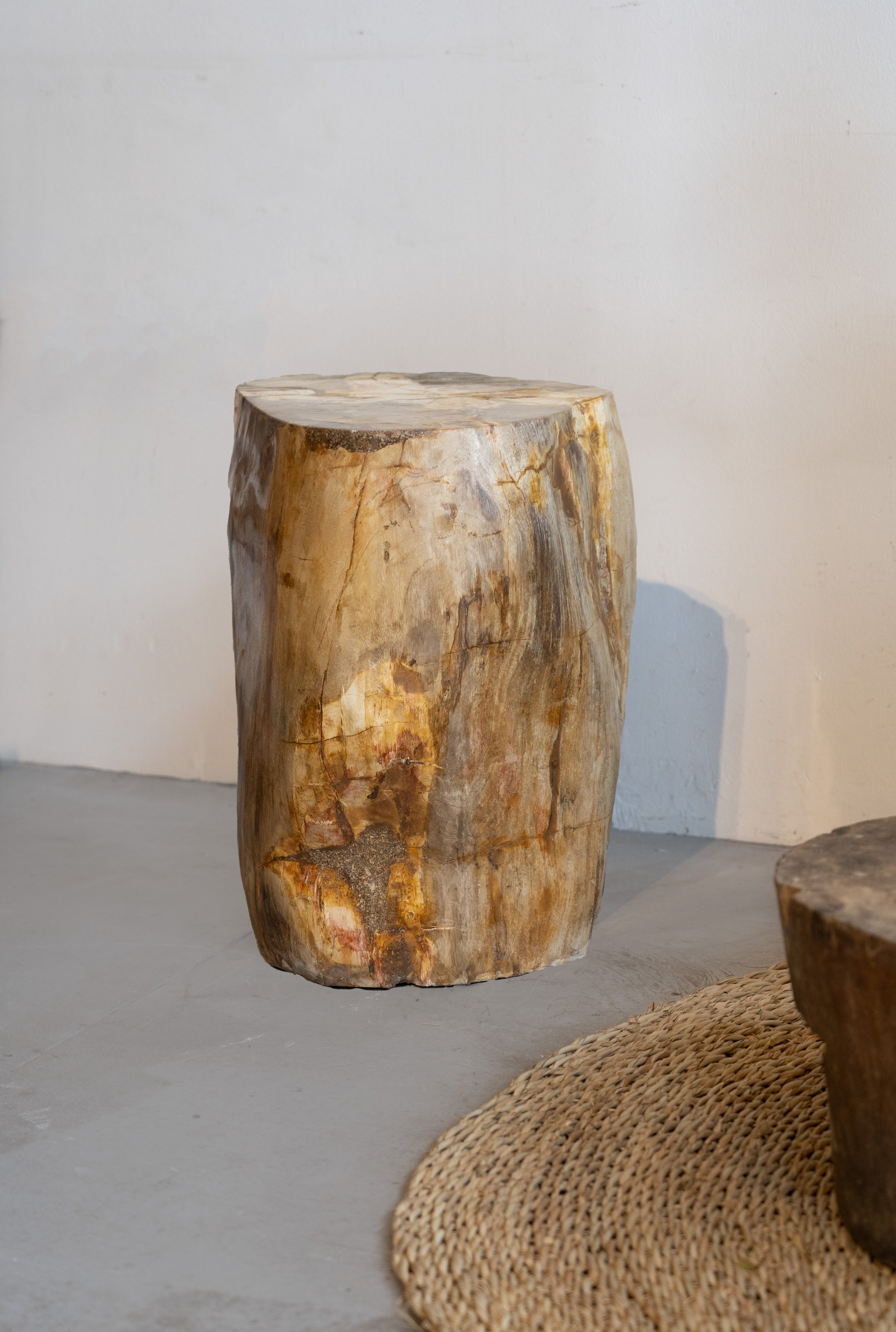 Petrified Wood Side Table \ Stool - Botanical Boys