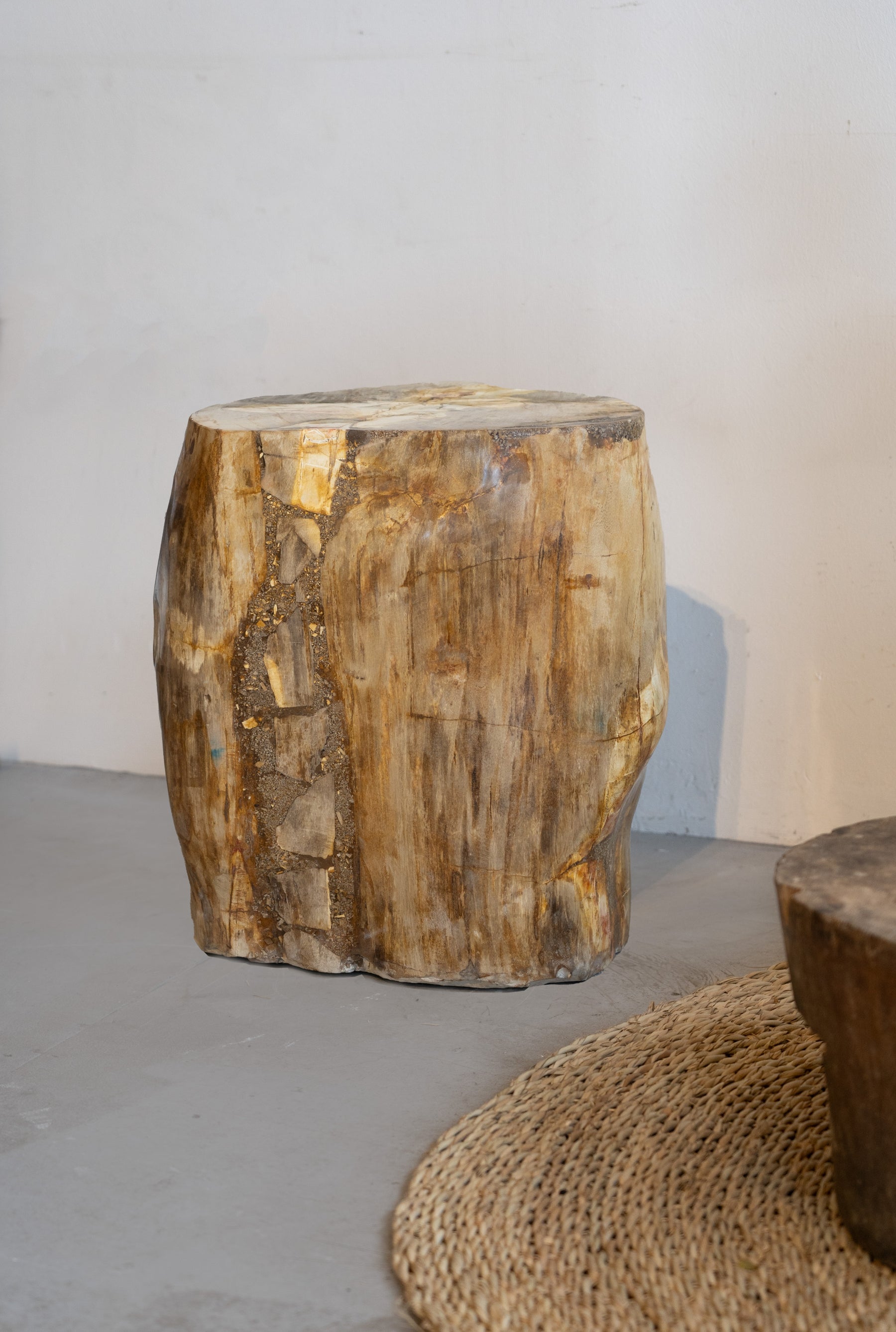 Petrified Wood Side Table \ Stool - Botanical Boys