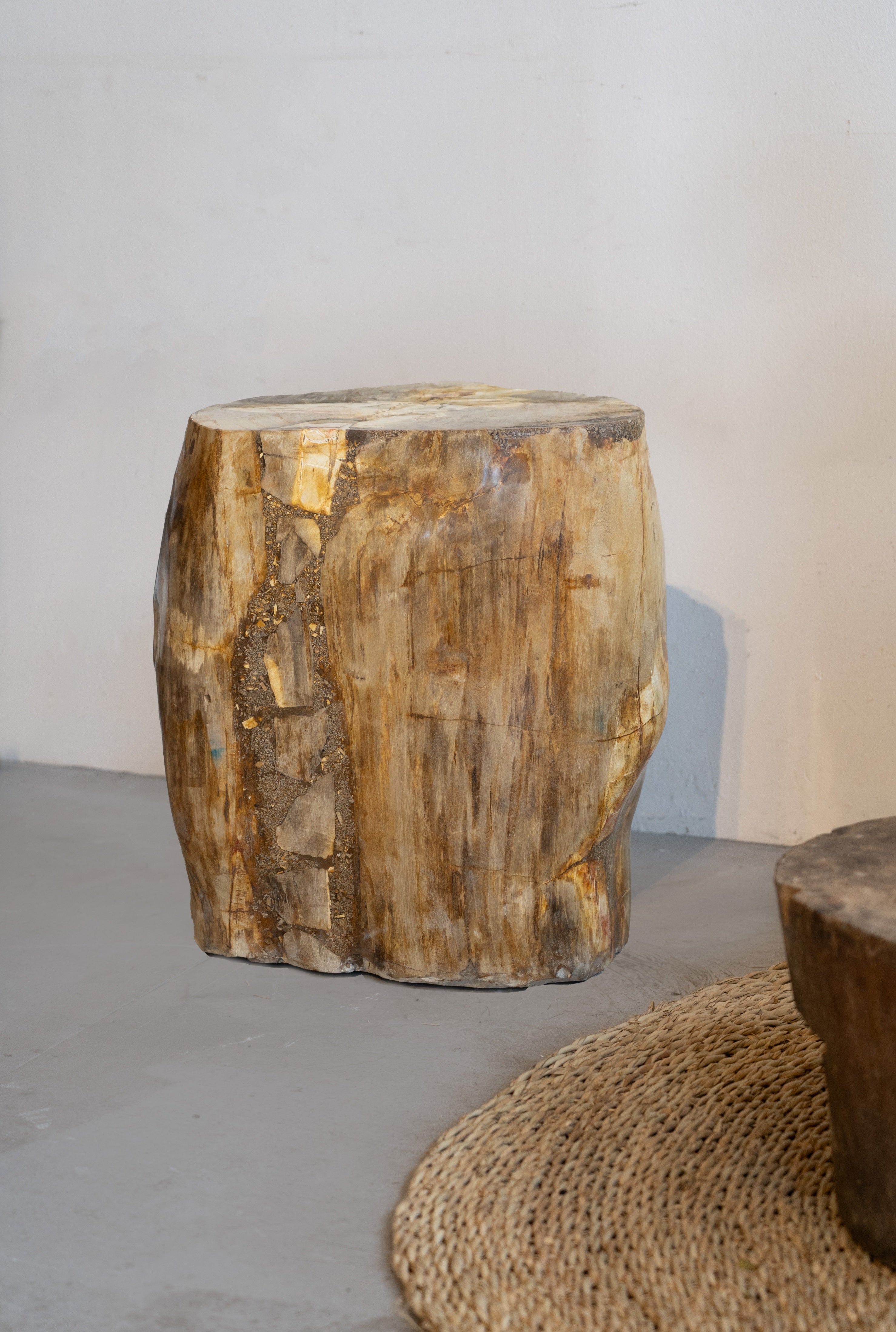 Petrified Wood Side Table \ Stool - Botanical Boys