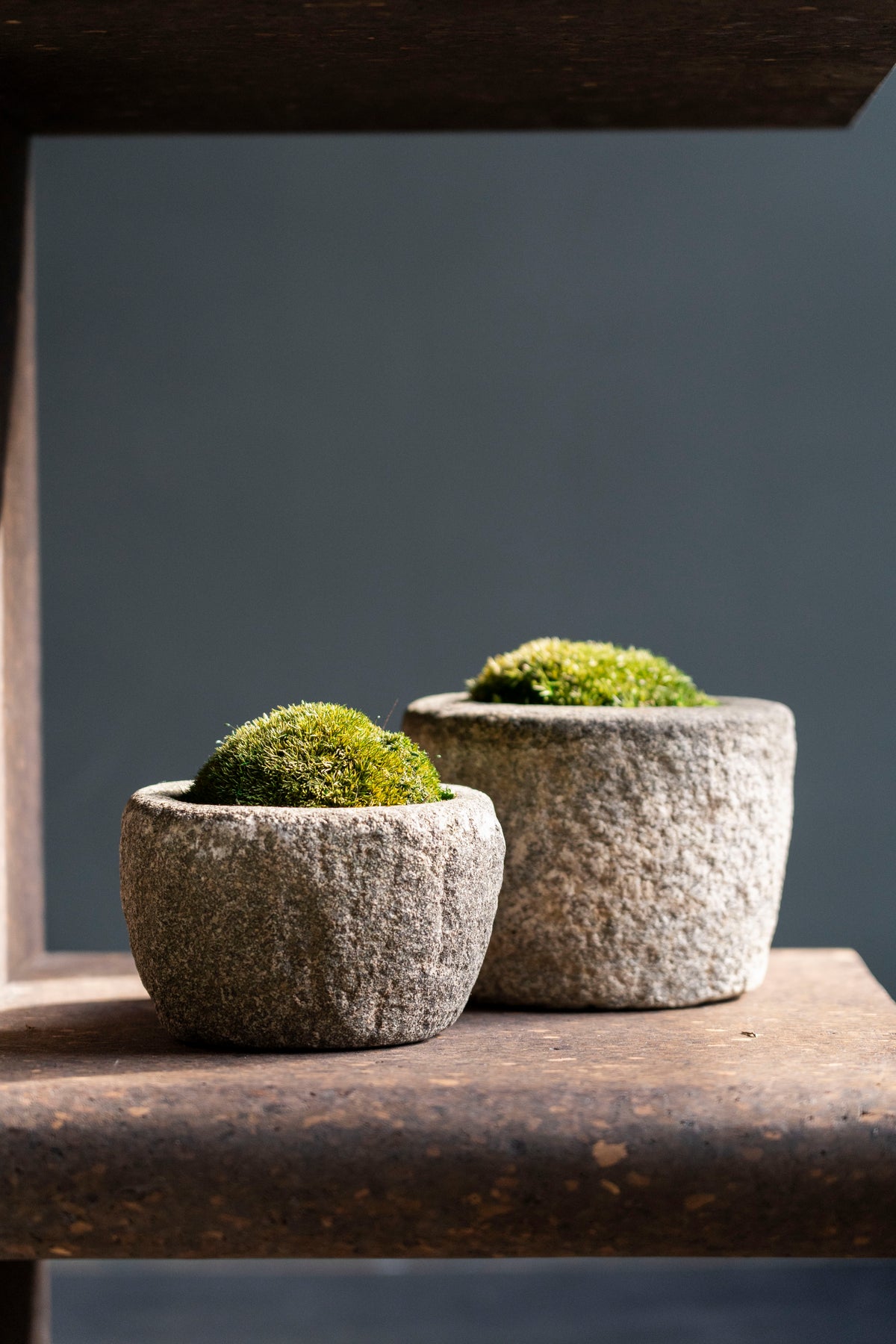 Antique Stone Mortar with Moss - Botanical Boys