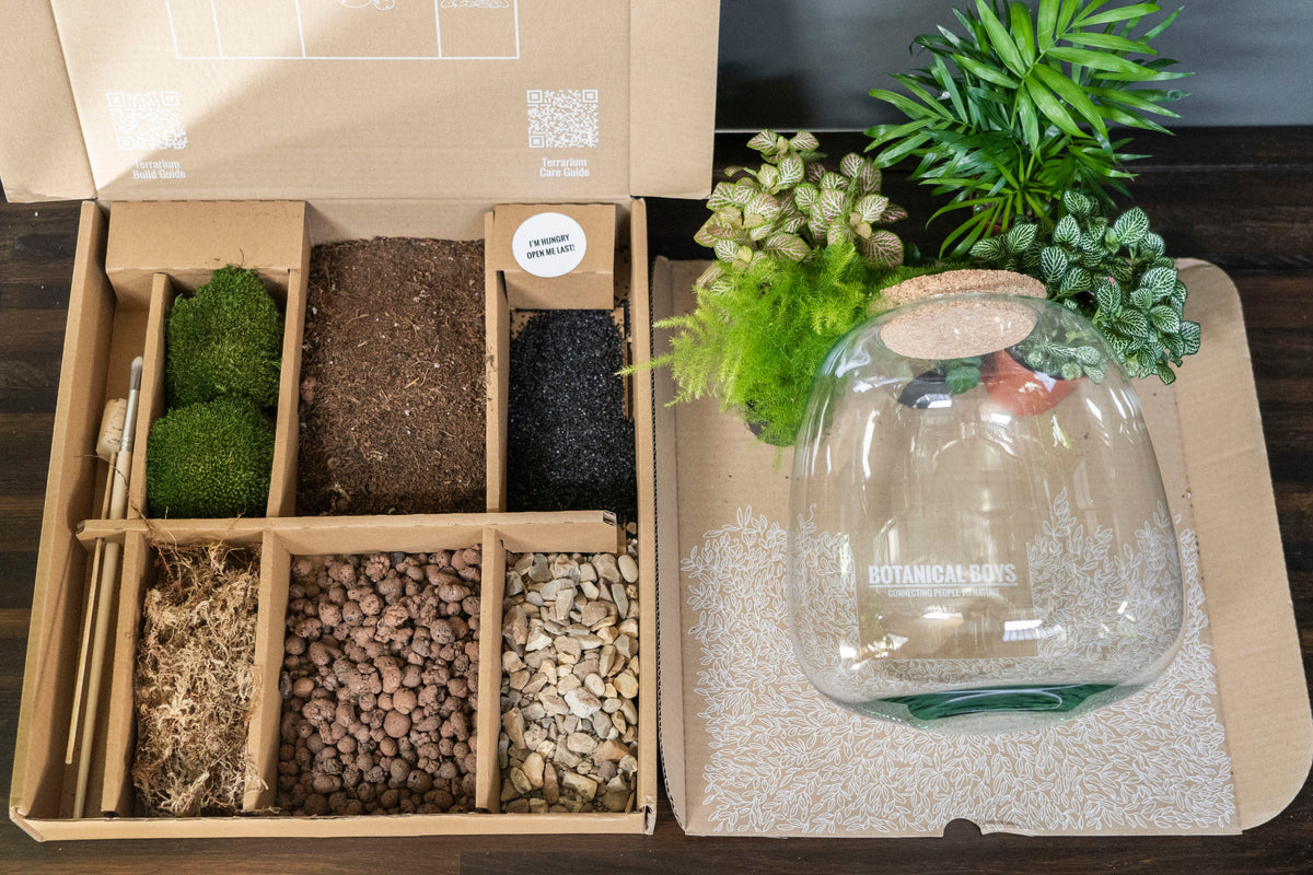 Bell Jar Terrarium Kit - Botanical Boys