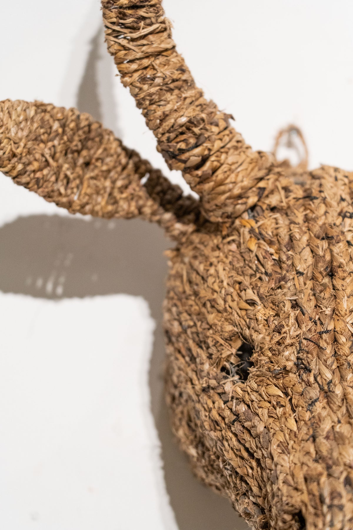 Cow Jude Wall Sculpture - Botanical Boys