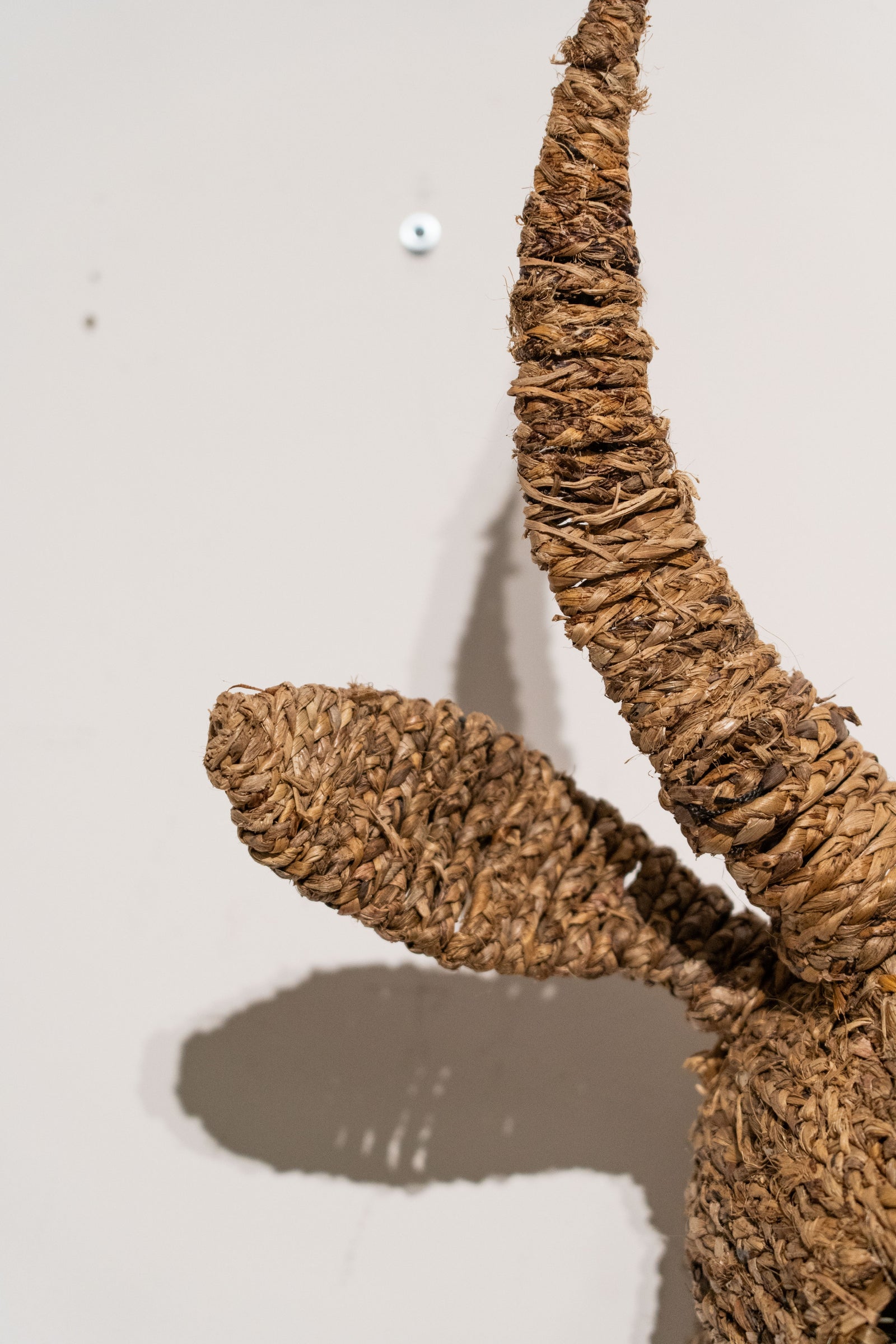 Cow Jude Wall Sculpture - Botanical Boys