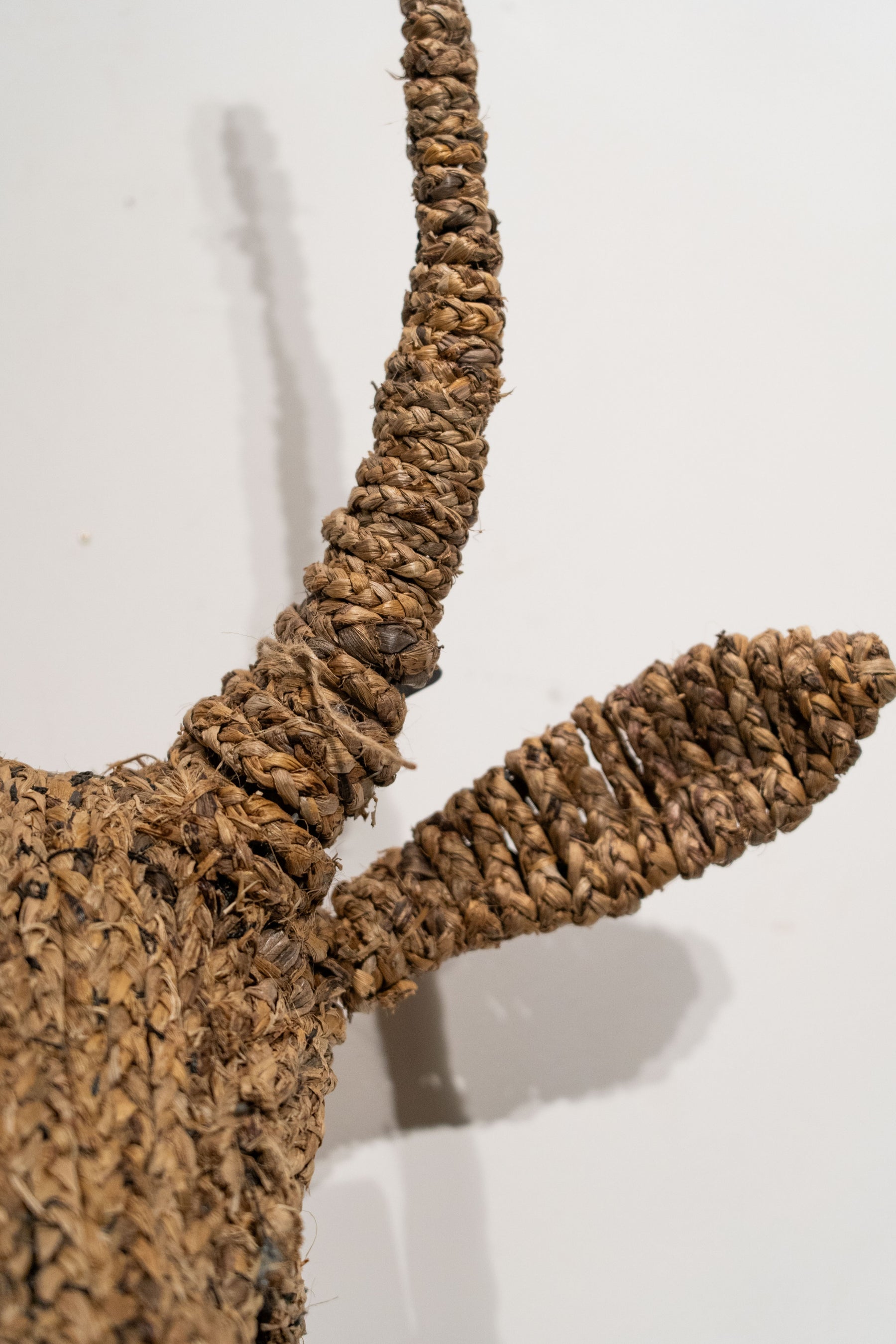 Cow Jude Wall Sculpture - Botanical Boys