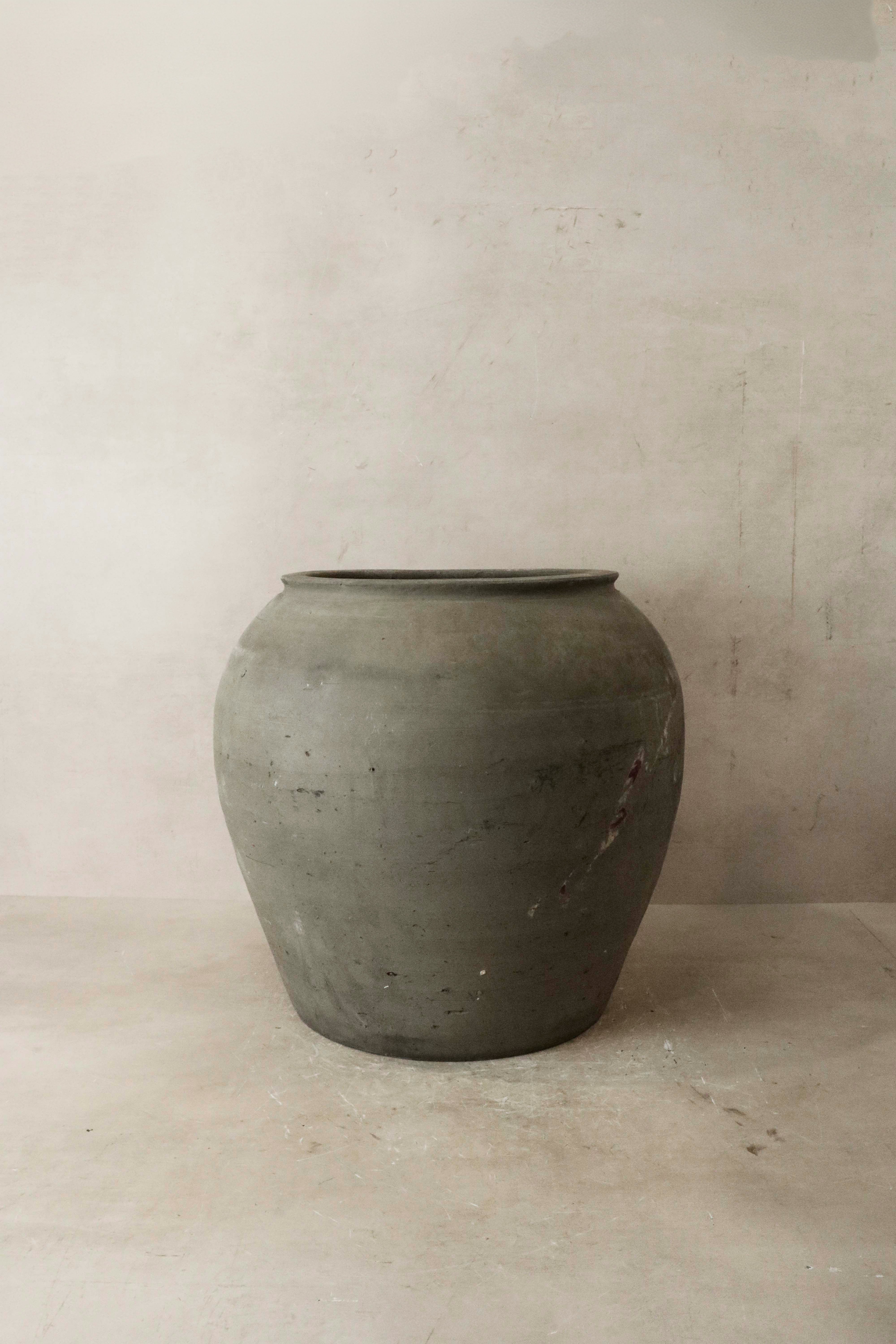 Vintage Dark Pot n° 033 - Botanical Boys
