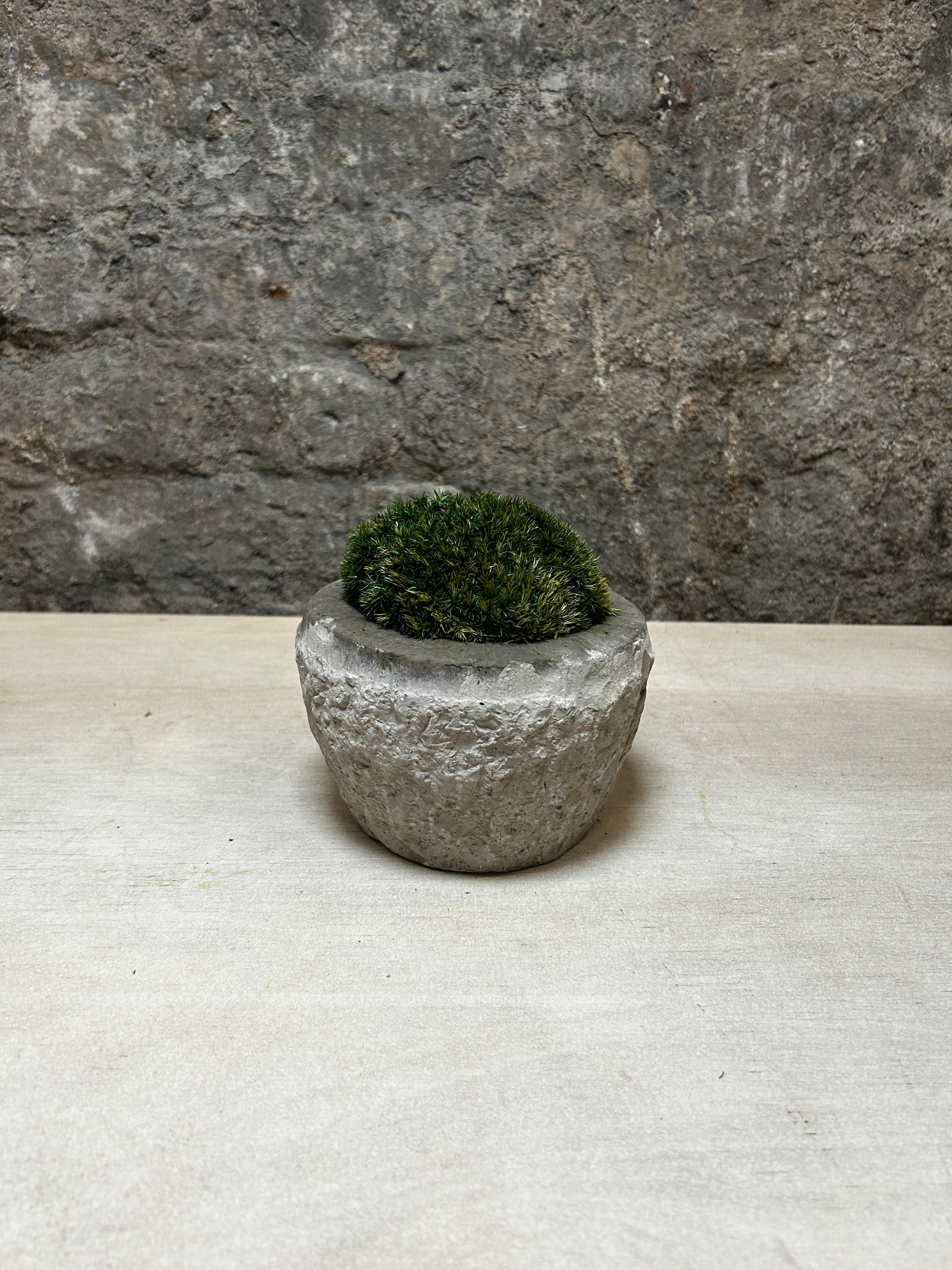 12 Antique Stone Mortar with Moss FR9 | King's Cross