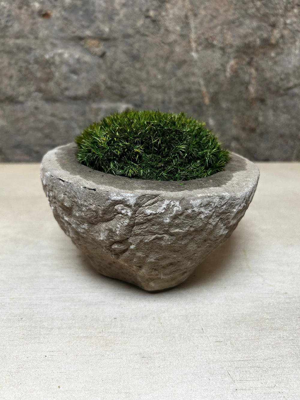 Antique Stone Mortar with Moss FR50 - Botanical Boys