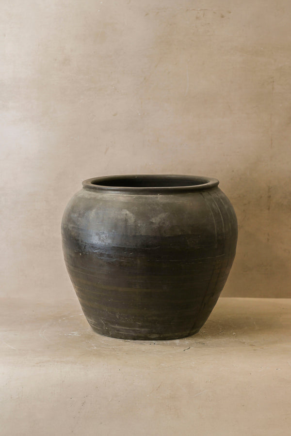 Vintage Dark Pot - No 58 - Botanical Boys