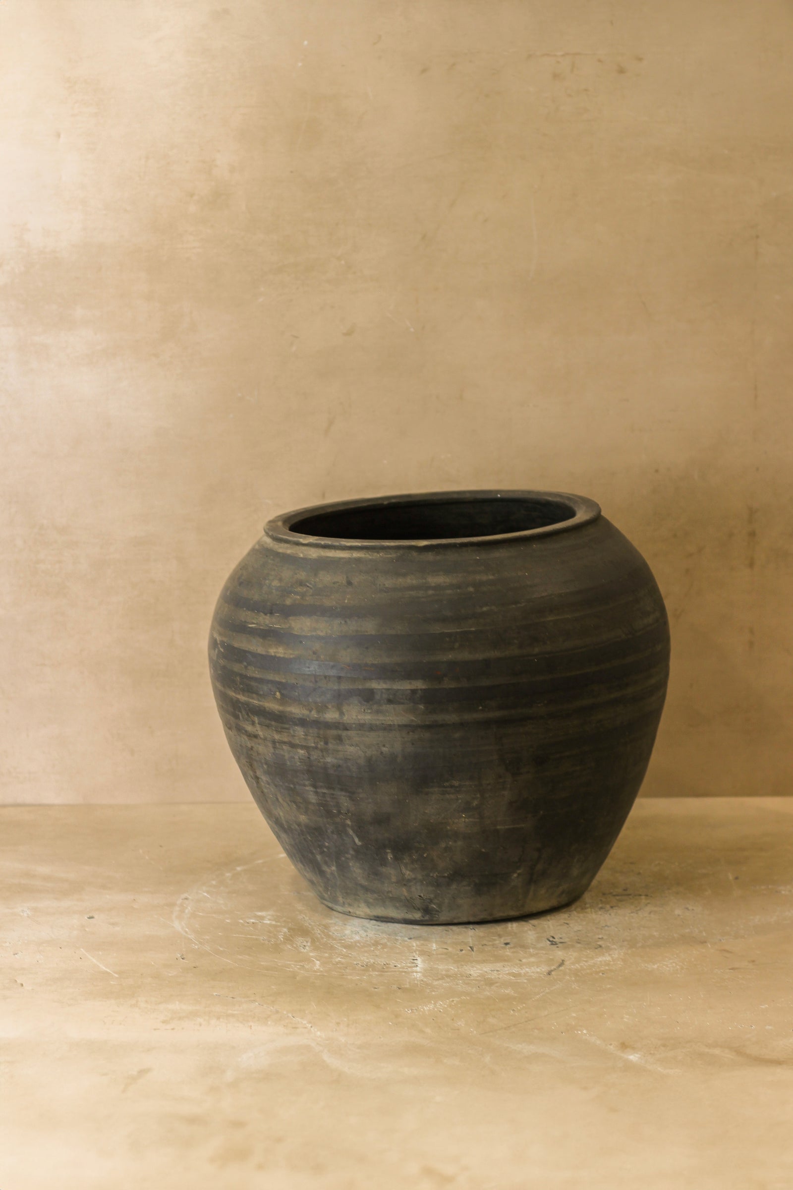 Vintage Dark Pot - No 63 - Botanical Boys