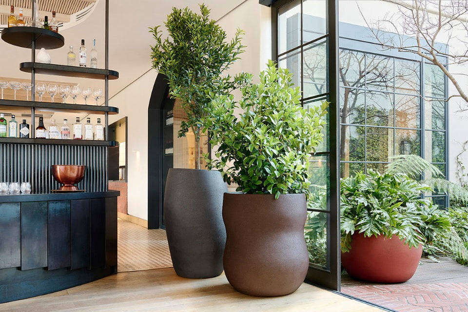 Pebble Planter Stone - Botanical Boys