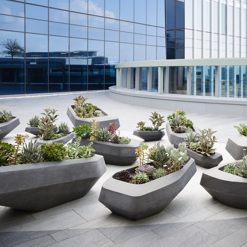 Steen Planter - Botanical Boys