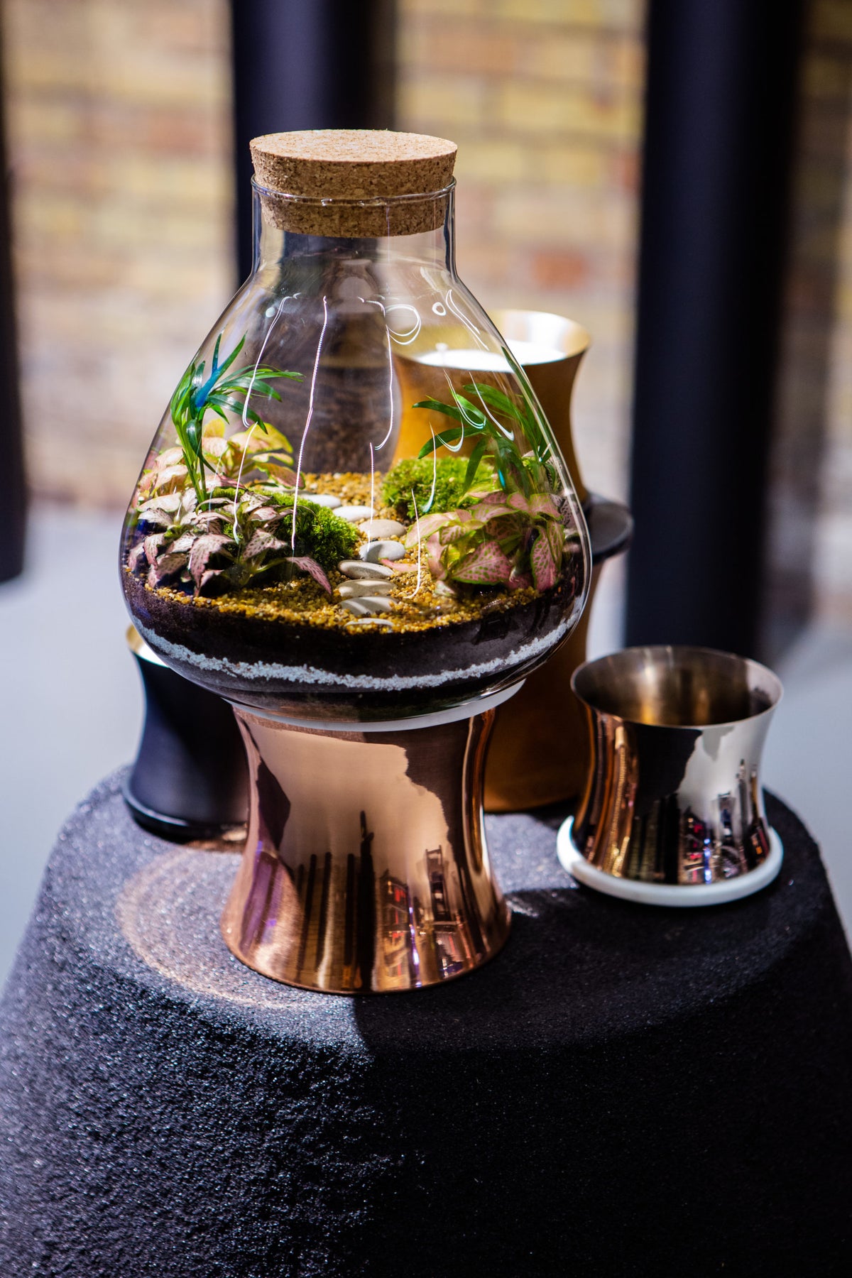 LAB Jar terrarium kit - Botanical Boys