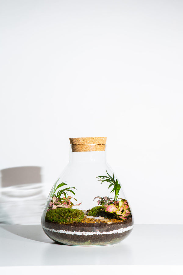 Terrarium Class- Upgrade LAB Jar - Botanical Boys