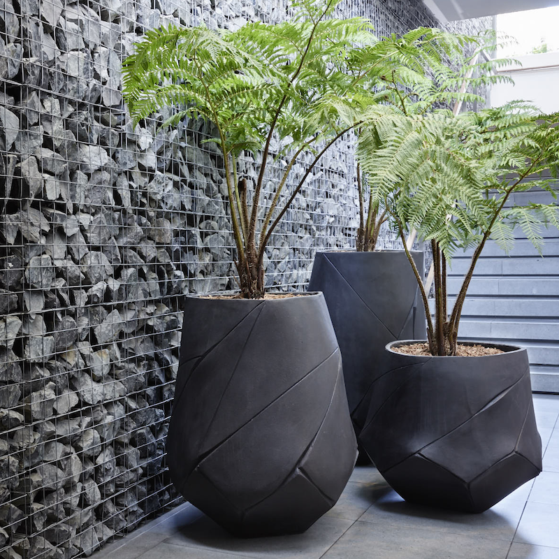 Bacha Planter - Botanical Boys