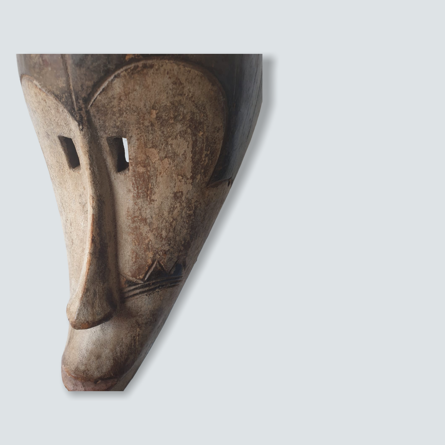 Fang Mask (08) - Botanical Boys