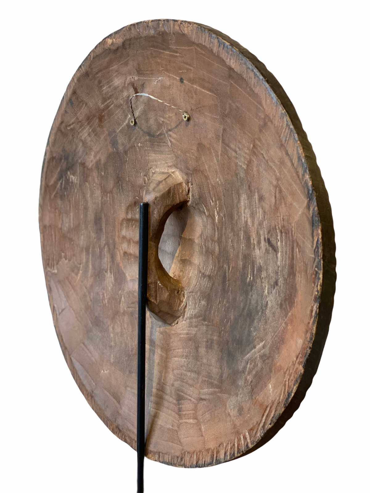 Cameroon Shield -L - 57cm - Botanical Boys