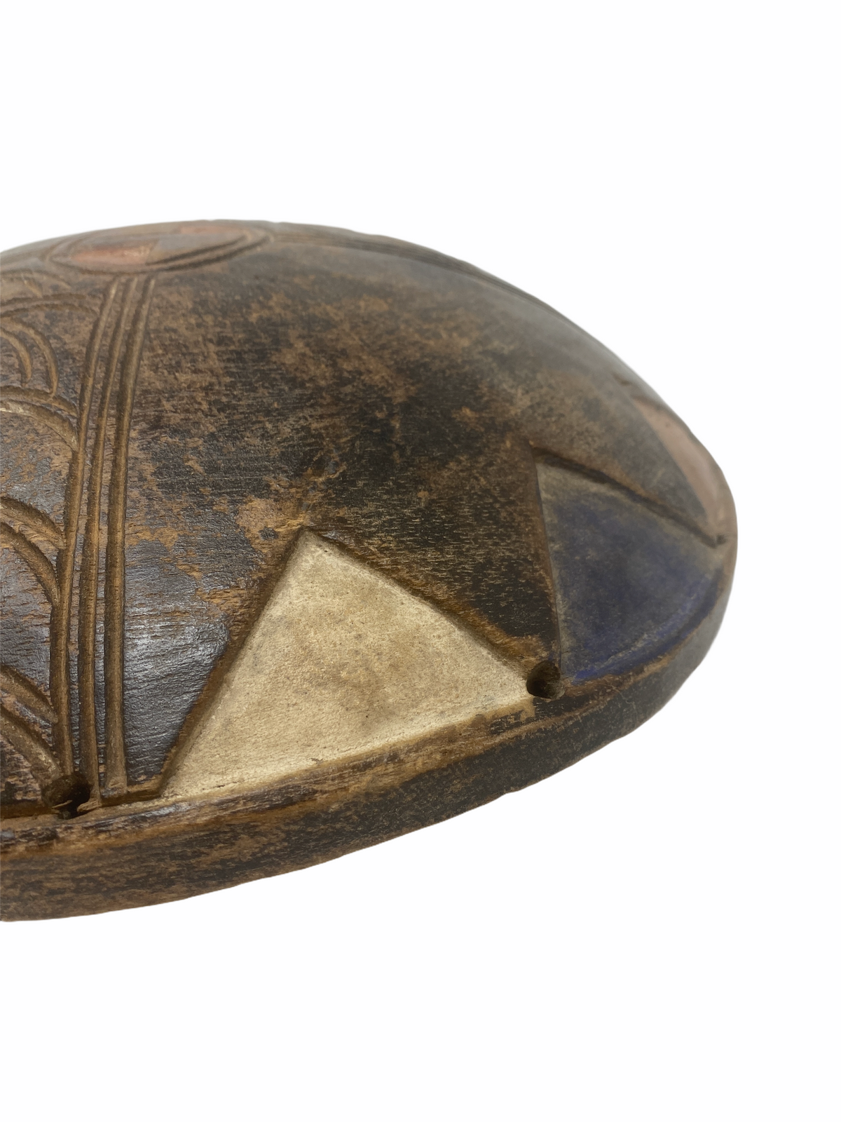 Cameroon Shield Wall display - Botanical Boys